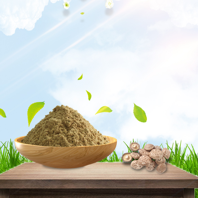 Organic Shiitake powder | Lentinus Edodes Extract Powder 1:1 | Ekowarehouse