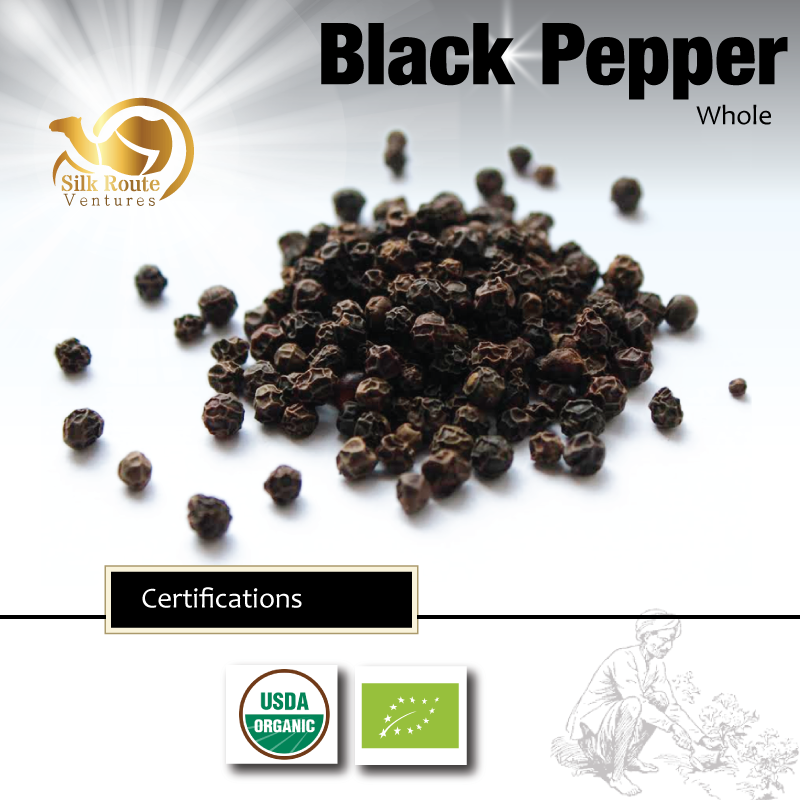 Organic Ceylon Black Pepper Whole Premium Quality for Europe | Ekowarehouse