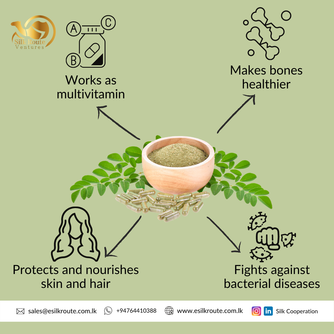Organic Moringa Capsules in Bulk and Private Label | Ekowarehouse