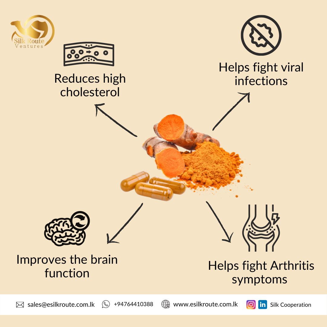 Organic Turmeric Extract Capsules in Bulk and private Labeling ...