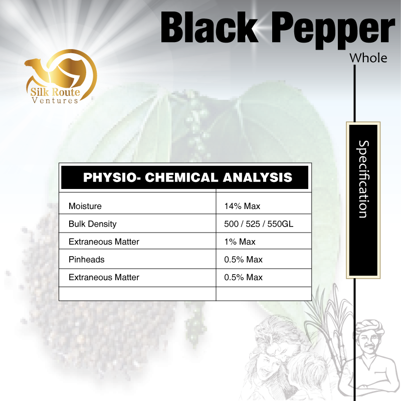 Organic Ceylon Black Pepper Whole Premium Quality for Europe | Ekowarehouse