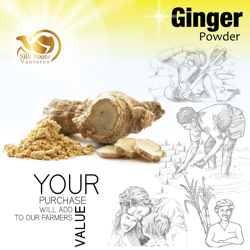 Organic Ginger Powder Sri Lanka Premium Quality | Ekowarehouse