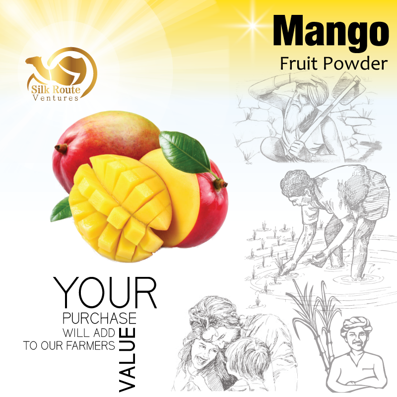 Organic Mango Powder - Premium Fruit Powder in Bulk for Europe ...