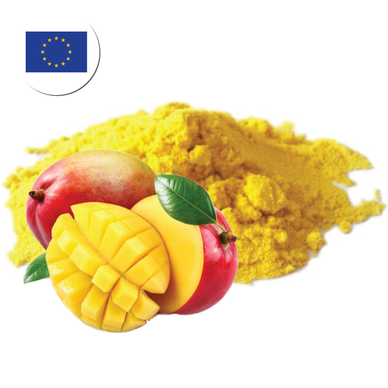 Organic Mango Powder - Premium Fruit Powder in Bulk for Europe ...