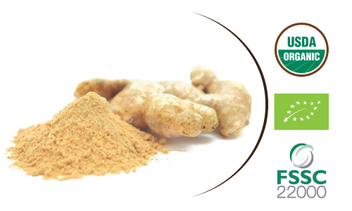 Organic Ginger Powder Sri Lanka Premium Quality | Ekowarehouse