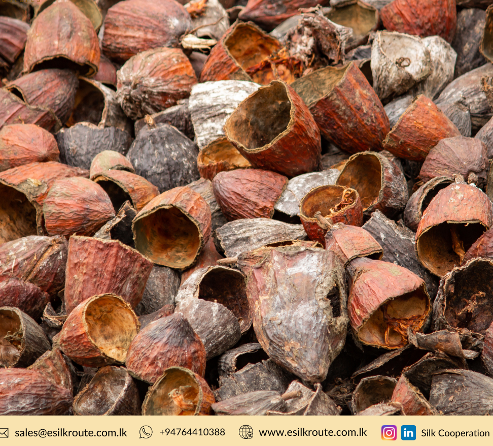 Organic Cocoa Shell from Sri Lanka | Ekowarehouse
