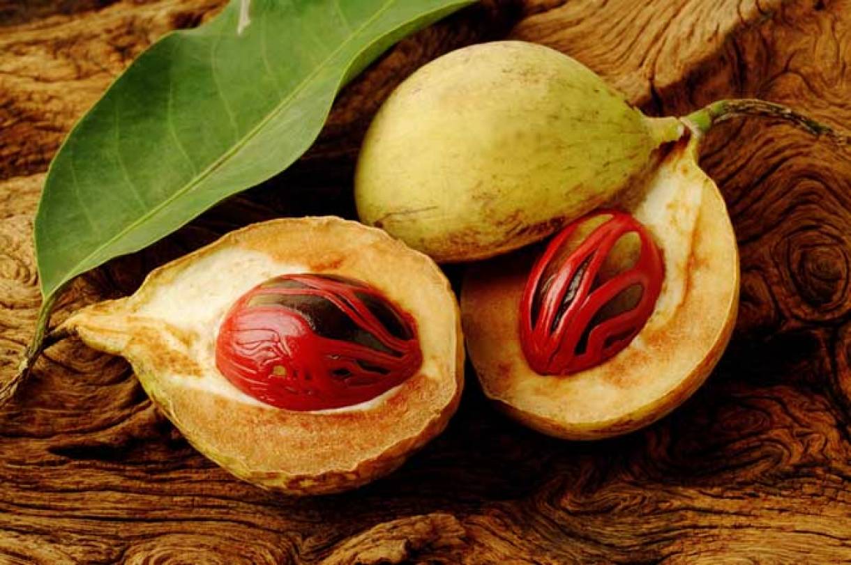 Premium quality Organic Nutmeg (with Shell) from Sri Lanka | Ekowarehouse