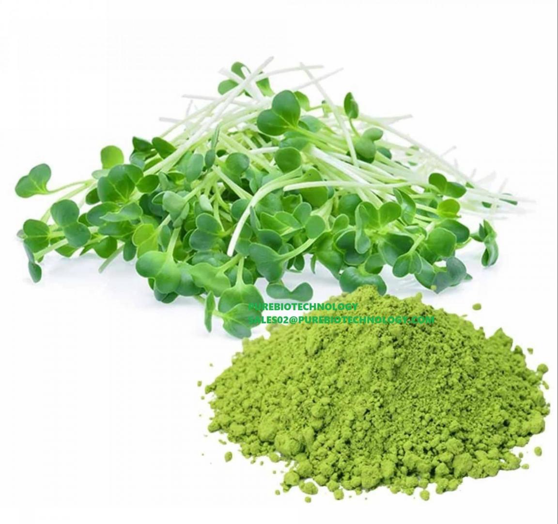 Premium Alfalfa Grass Powder-NON GMO/100% Organic /Alfafa Hierba en polvo/Bulk Alfalfa Leaf ...