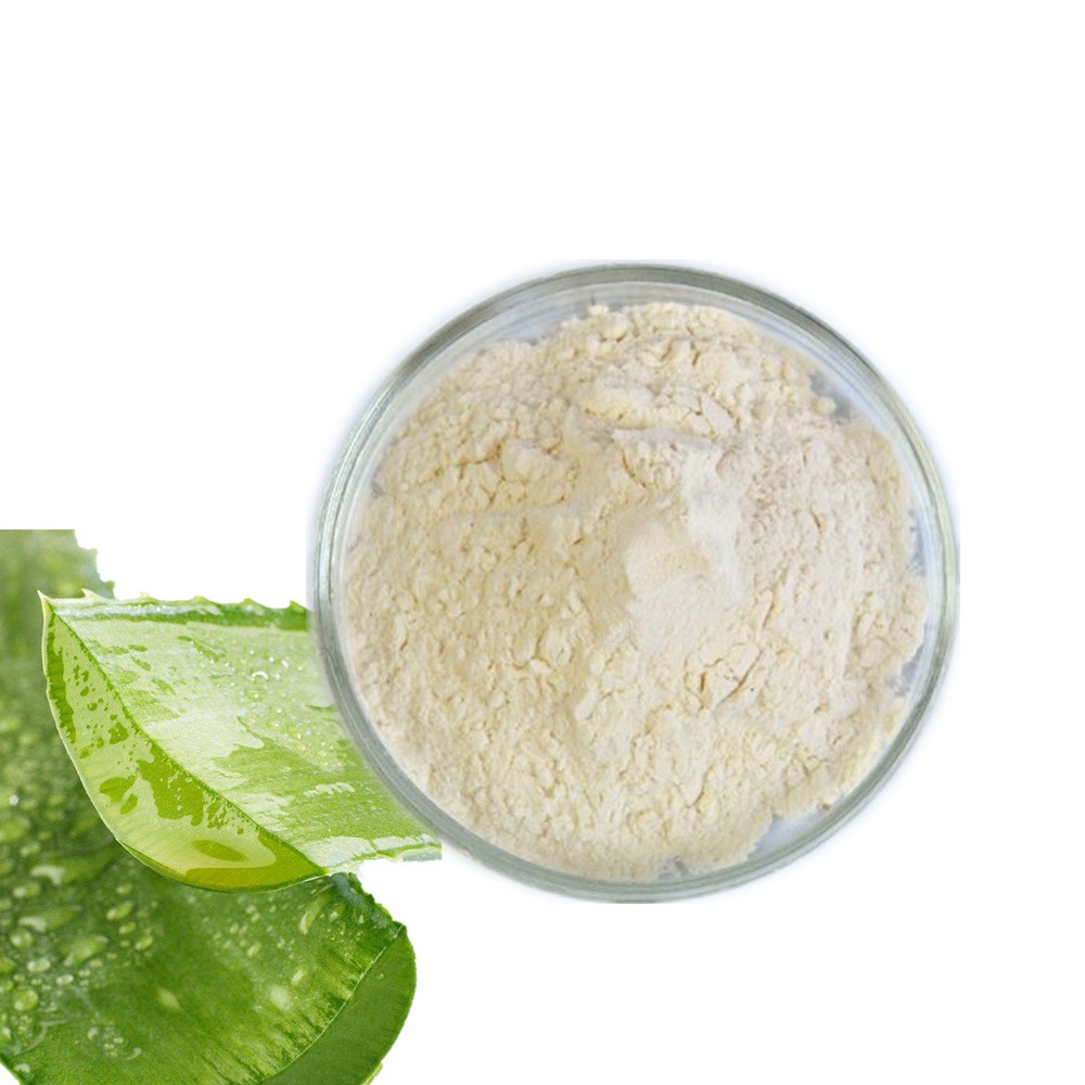 Organic Aloe Vera Powder buy bulk from Sri Lanka | Ekowarehouse
