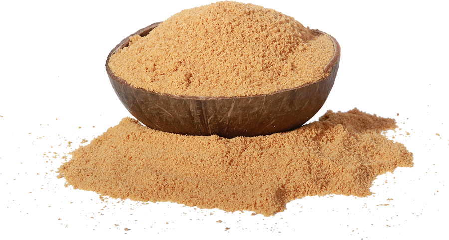 Organic Premium Coconut Sugar in Bulk | Ekowarehouse