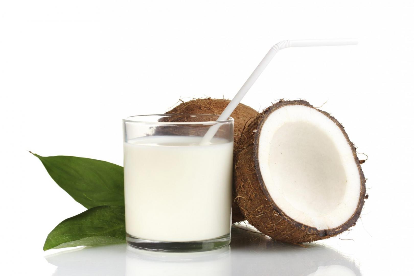 Organic Premium Coconut Milk - 17% Fat in Bulk | Ekowarehouse