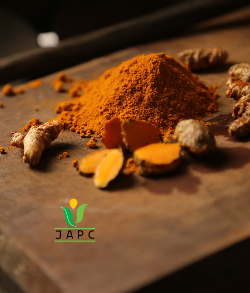 Organic Ceylon Turmeric Powder | Ekowarehouse