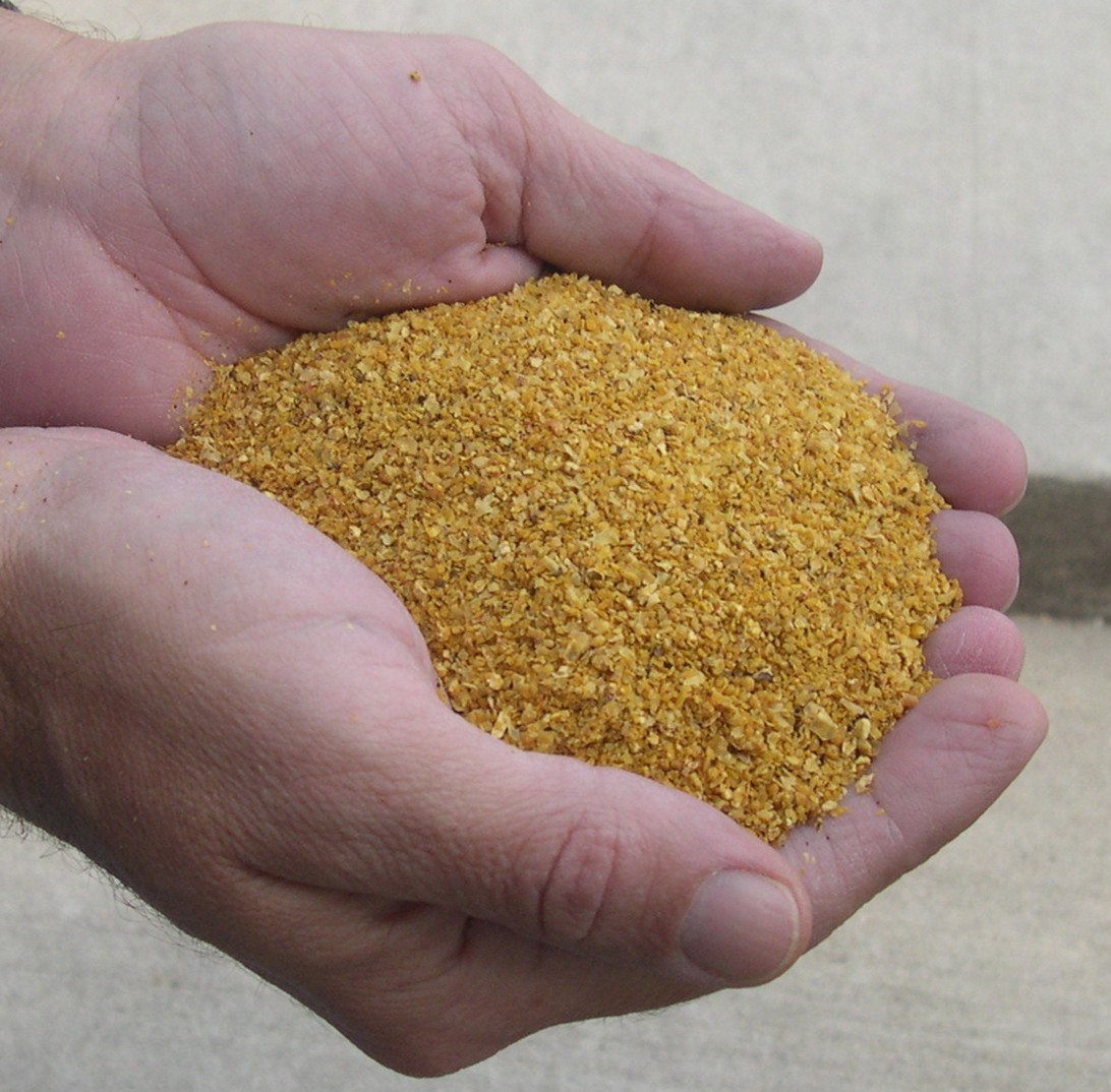 Organic DDGS (Dried Distiller Grains Solubles) 30% Protein - $390/MT ...