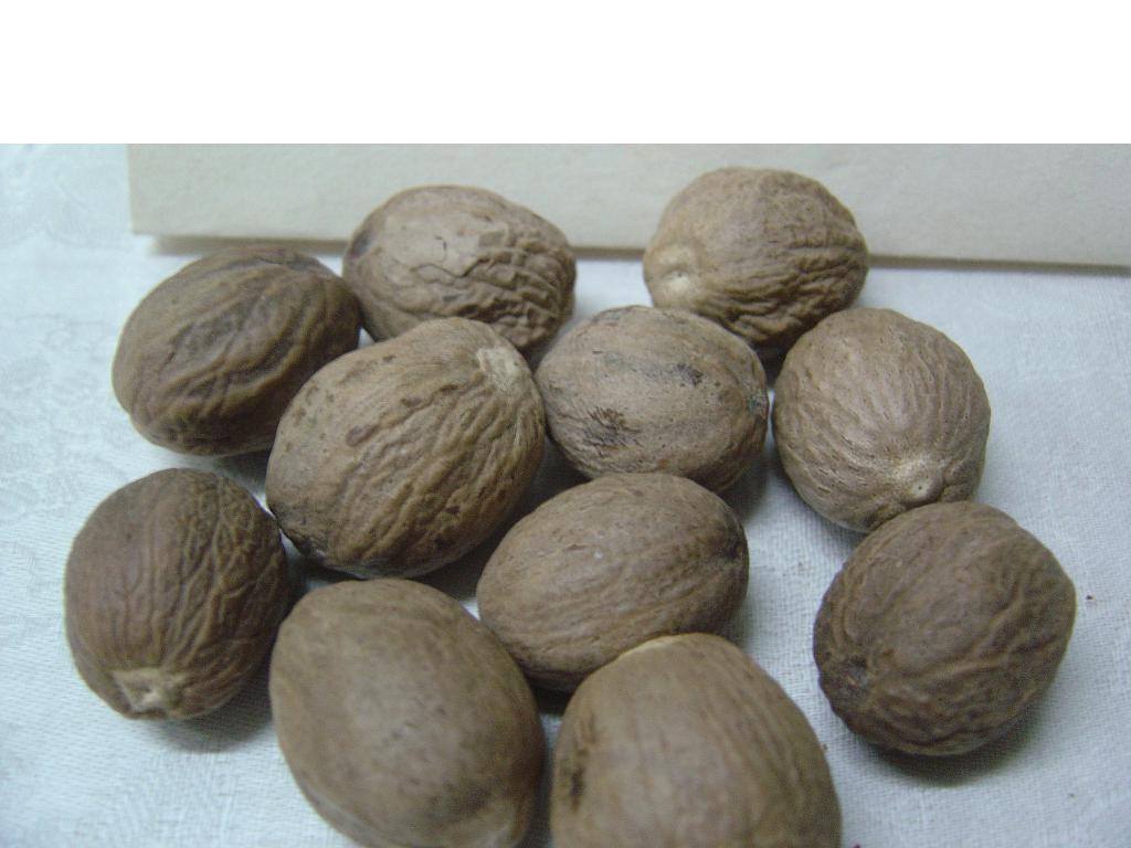Premium quality Organic Nutmeg (without Shell) from Sri Lanka ...