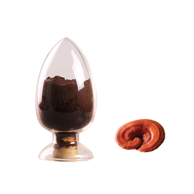 Organic ganoderma lucidum wall-broken spore powder | Ekowarehouse