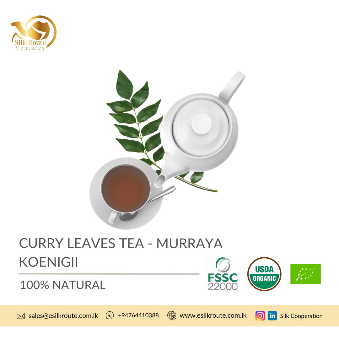 Organic Curry Leaves Tea for Weight Loss from Sri Lanka | Ekowarehouse
