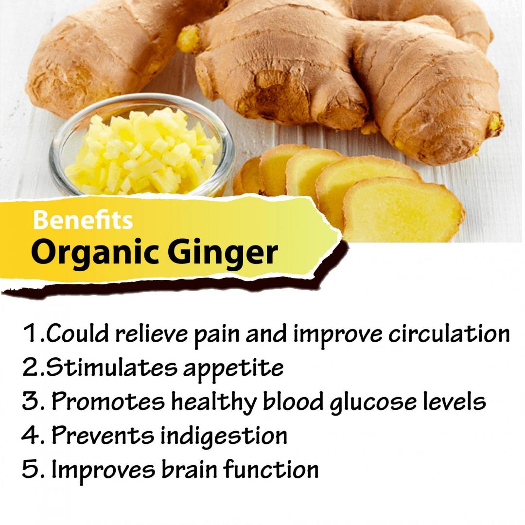 Organic Ginger Capsules from Ancient Nutraceuticals in Bulk for ...