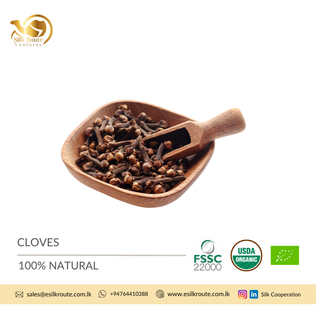 100% Organic Natural Cloves for Asia Best Price | Ekowarehouse