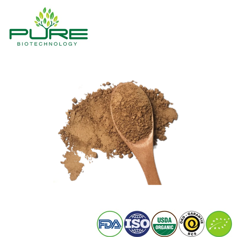 mushroom powder new crop/ organic mushroom powder | Ekowarehouse