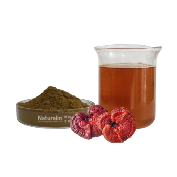 Organic Ganoderma Extract(Water extraction/Dual extraction) | Ekowarehouse