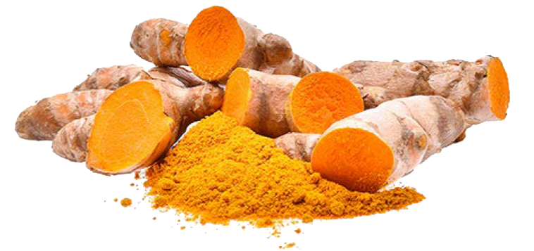 Hot Selling Ceylon Spice - Organic Ceylon Turmeric Powder at Best Price ...
