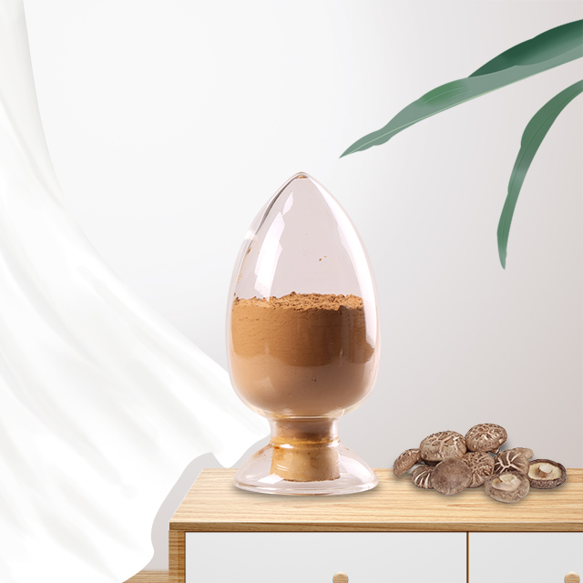 Organic Shiitake Extract (8:1) | Lentinus Edodes Extract | Ekowarehouse