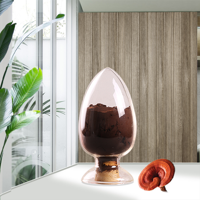 Organic Broken Shell Reishi Spore Powder | Ganoderma Lucidum Spore ...