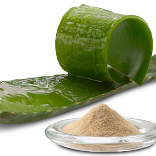 Organic Aloe Vera Powder buy bulk from Sri Lanka | Ekowarehouse