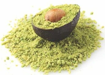 Organic Avocado Powder - Premium Fruit Powder in Bulk from Ceylon ...