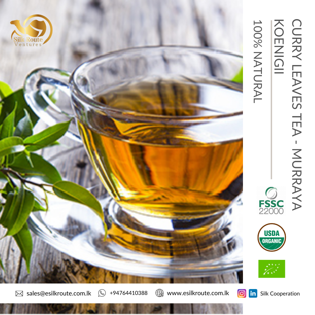 Organic Curry Leaves Tea for Weight Loss from Sri Lanka | Ekowarehouse