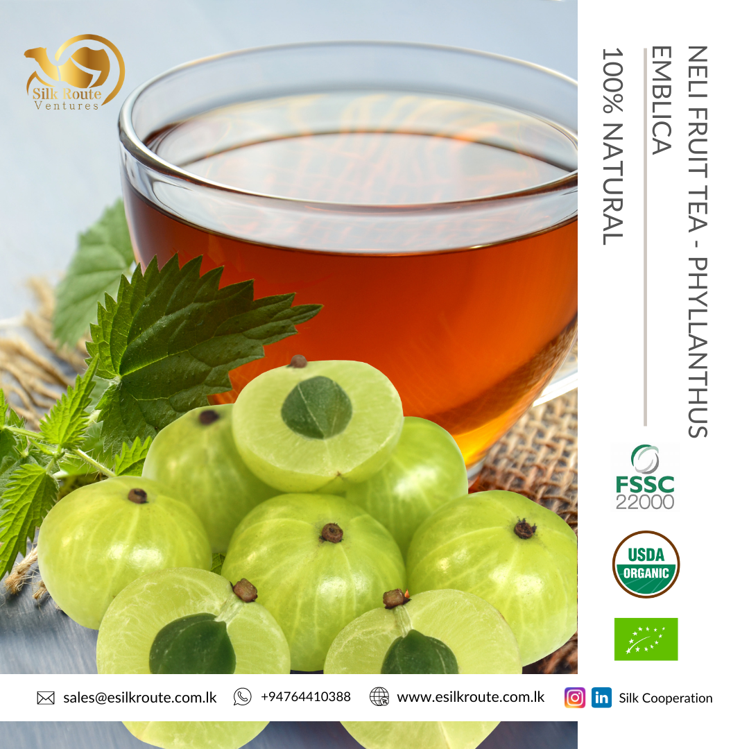 Amla / Green gooseberry / Nelli Fruit Tea - 25 Herbal Tea Bag Pack ...