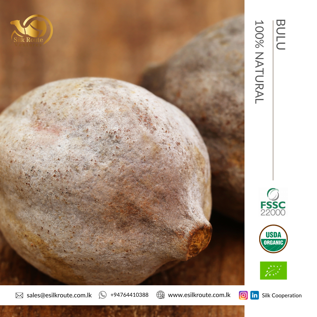 Organic Bulu (Myrobalan) Whole from Sri Lanka | Ekowarehouse