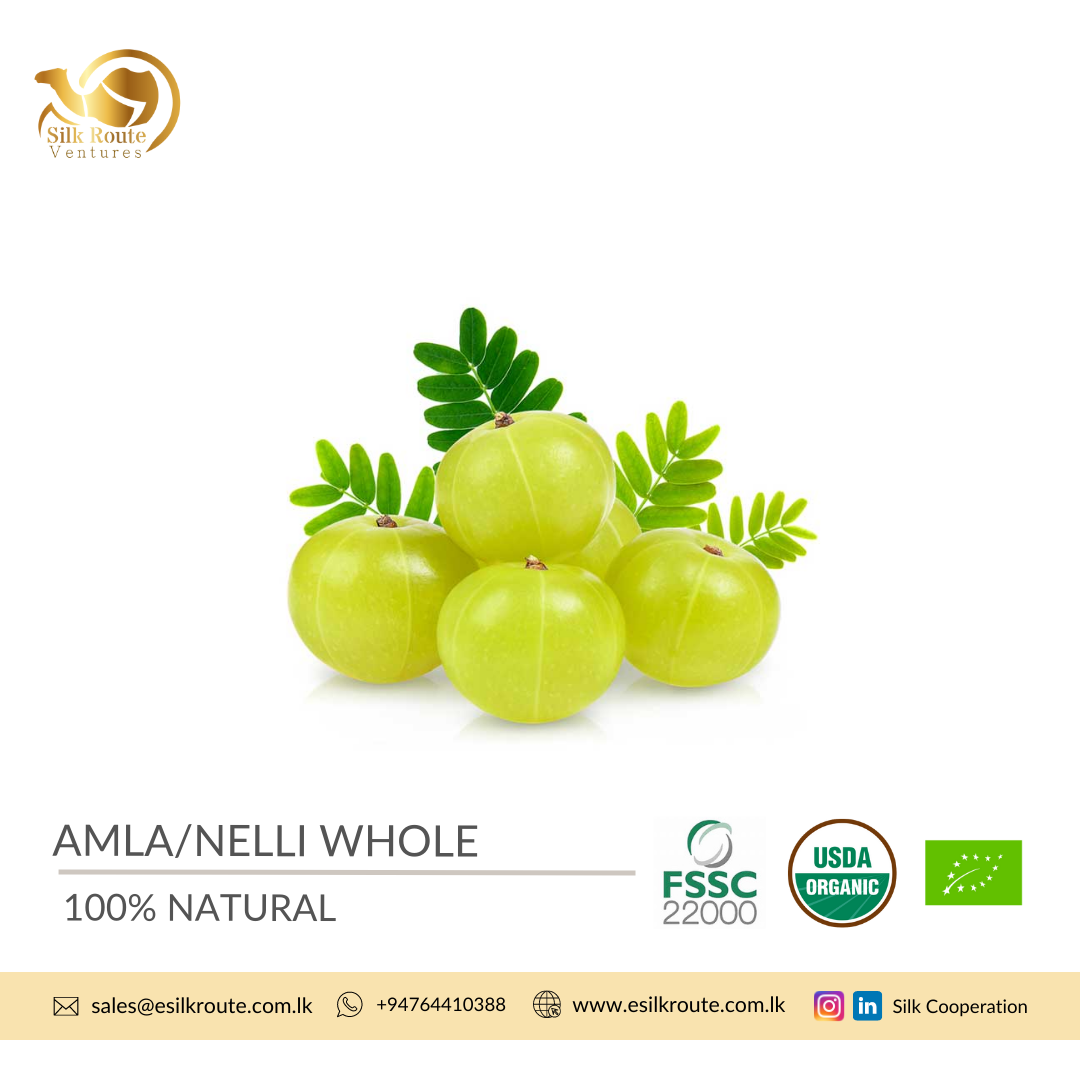 Ceylon Organic Amla / Nelli / Indian Gooseberry in Bulk | Ekowarehouse