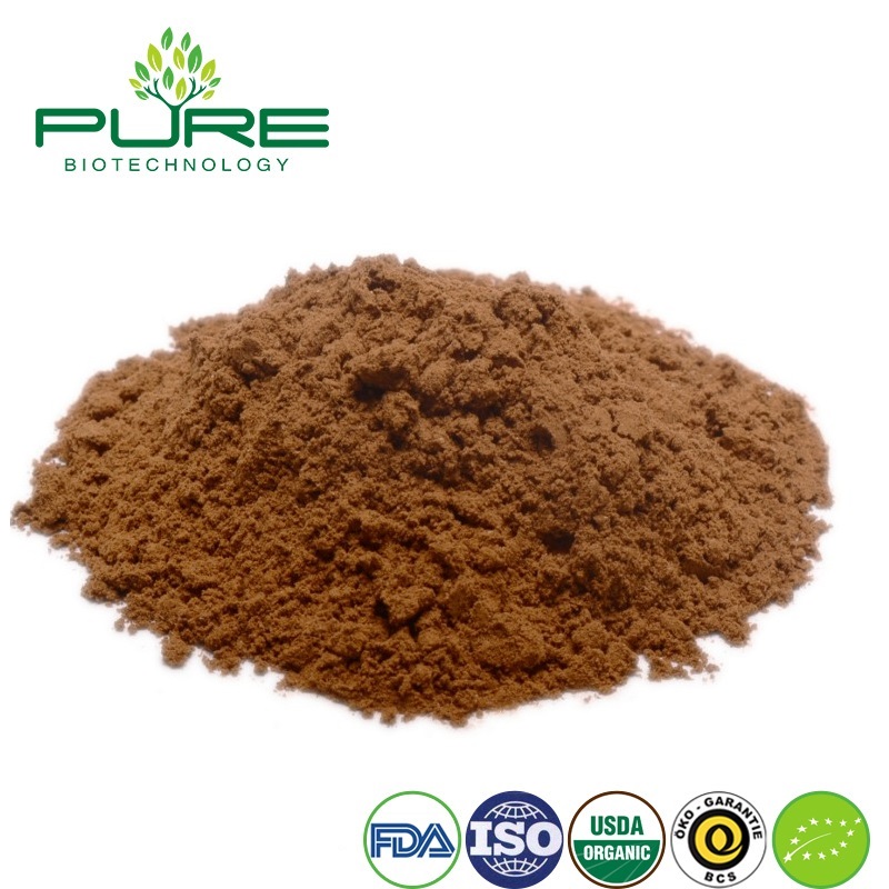 mushroom powder new crop/ organic mushroom powder | Ekowarehouse