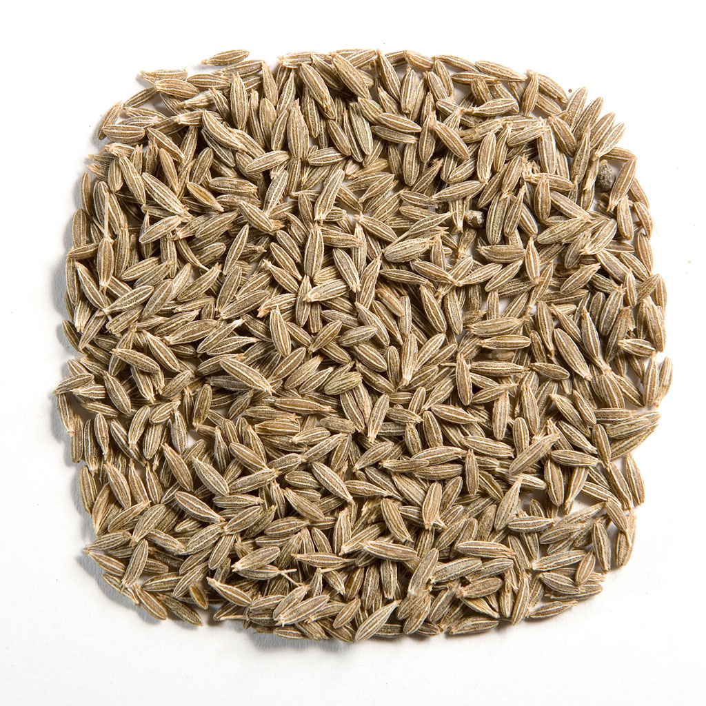 Organic Cumin Seeds | Ekowarehouse