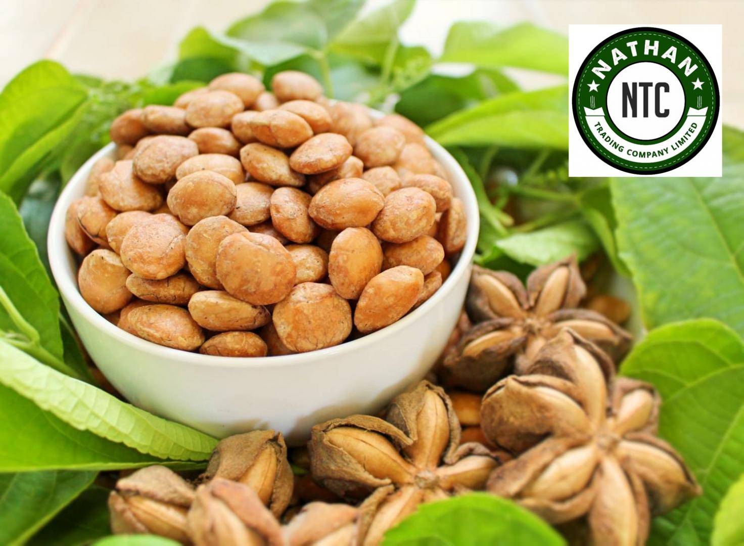 Roasted Organic Sacha Inchi Nuts (Seeds), 20kg Bag | Ekowarehouse