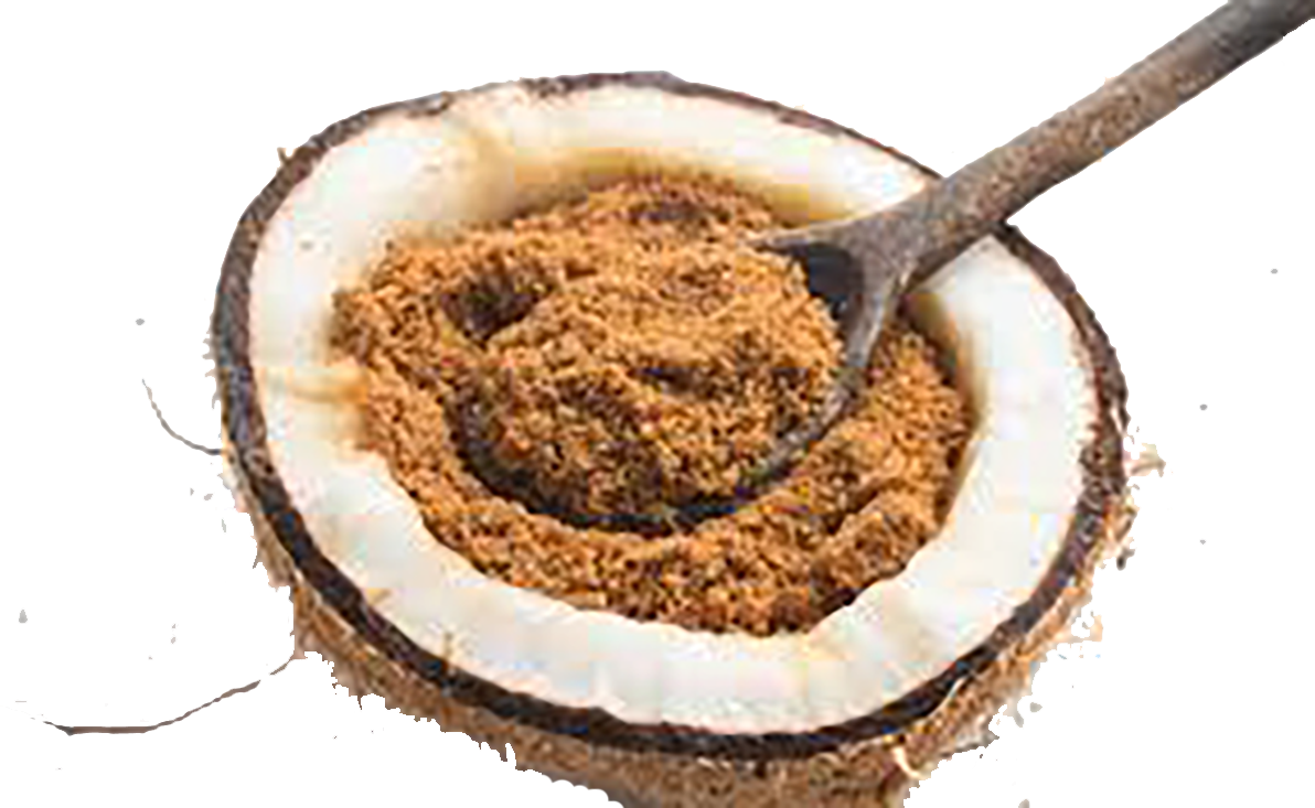 Organic Premium Coconut Sugar in Bulk | Ekowarehouse