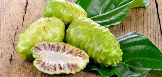 Organic Ahu/Noni Moringa citrifolia fruit Powder | Ekowarehouse