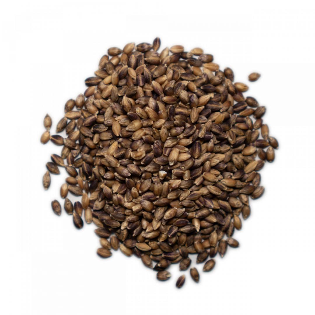Organic Purple Barley | Ekowarehouse