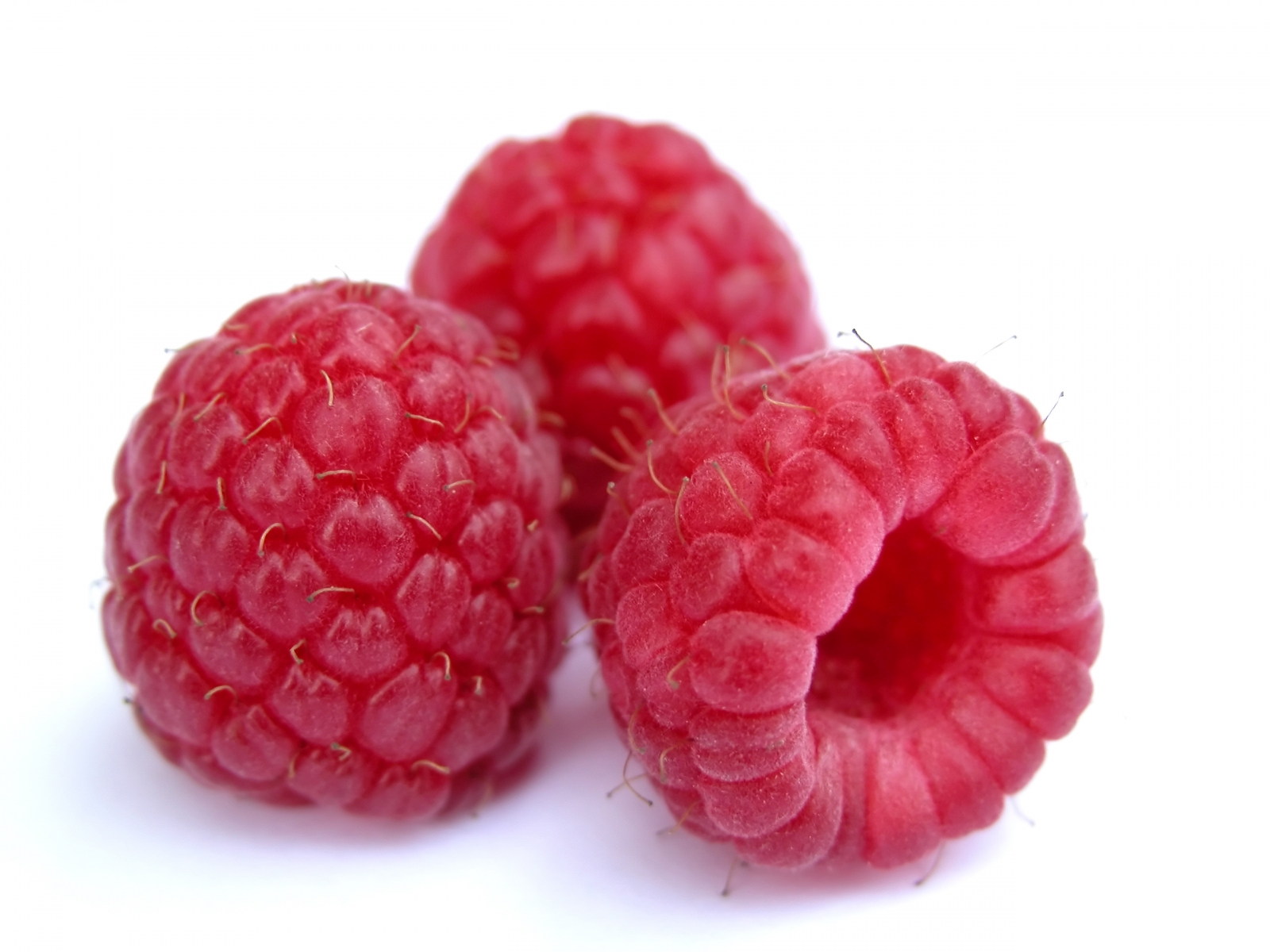 Organic Raspberry Oil Ekowarehouse