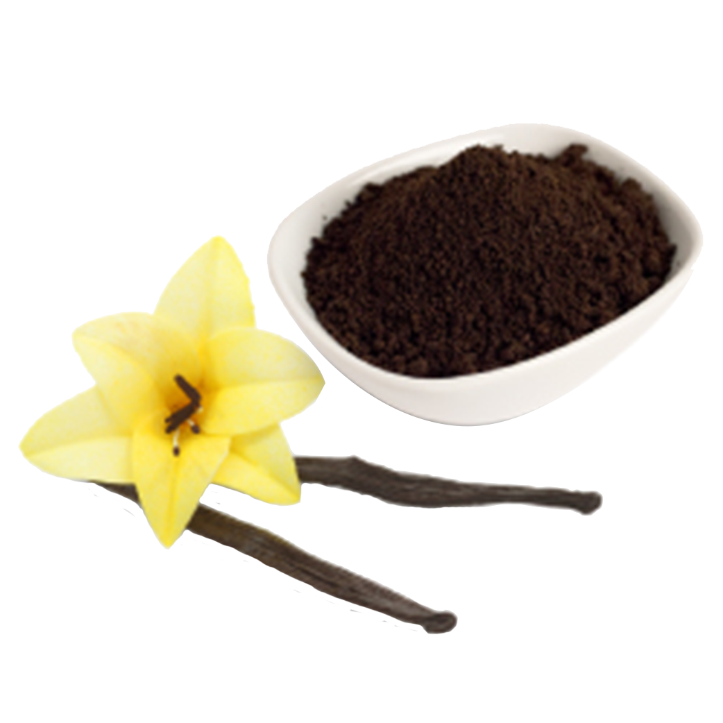 Premium Quality Organic Ceylon Vanilla Powder from Sri Lanka | Ekowarehouse