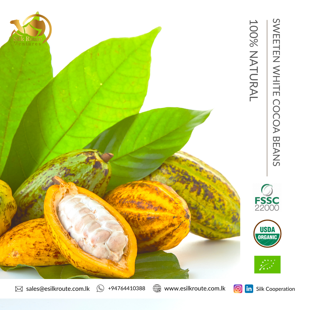 Sweeten White Cocoa Beans From Sri Lanka | Ekowarehouse