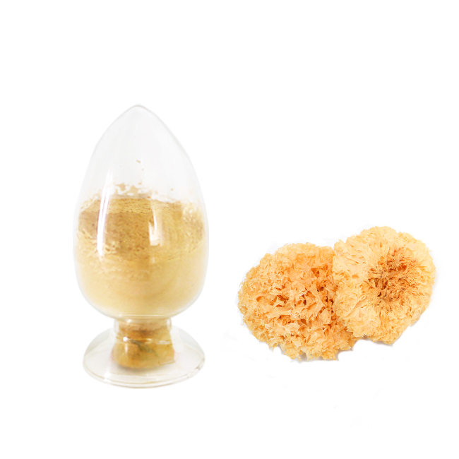 Organic Tremella fuciformis powder | Ekowarehouse