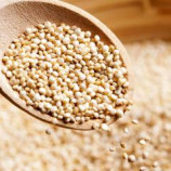 Find Certified Organic Suppliers & Products B2B Platform | Ekowarehouse