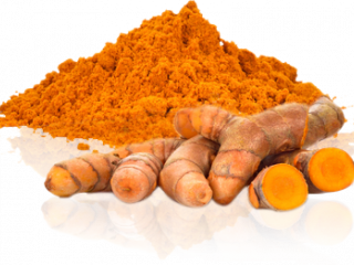 Premium Quality Organic Ceylon Turmeric Powder from Sri Lanka ...